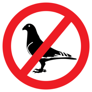 Home - Al WAHA Bird Control